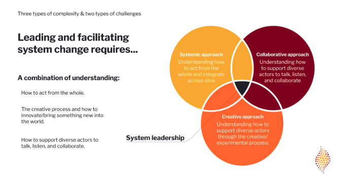 Systems leadership: Strategies for systemic change