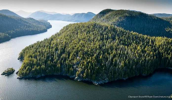 Collaborating for a sustainable ecosystem in the planet’s largest ...