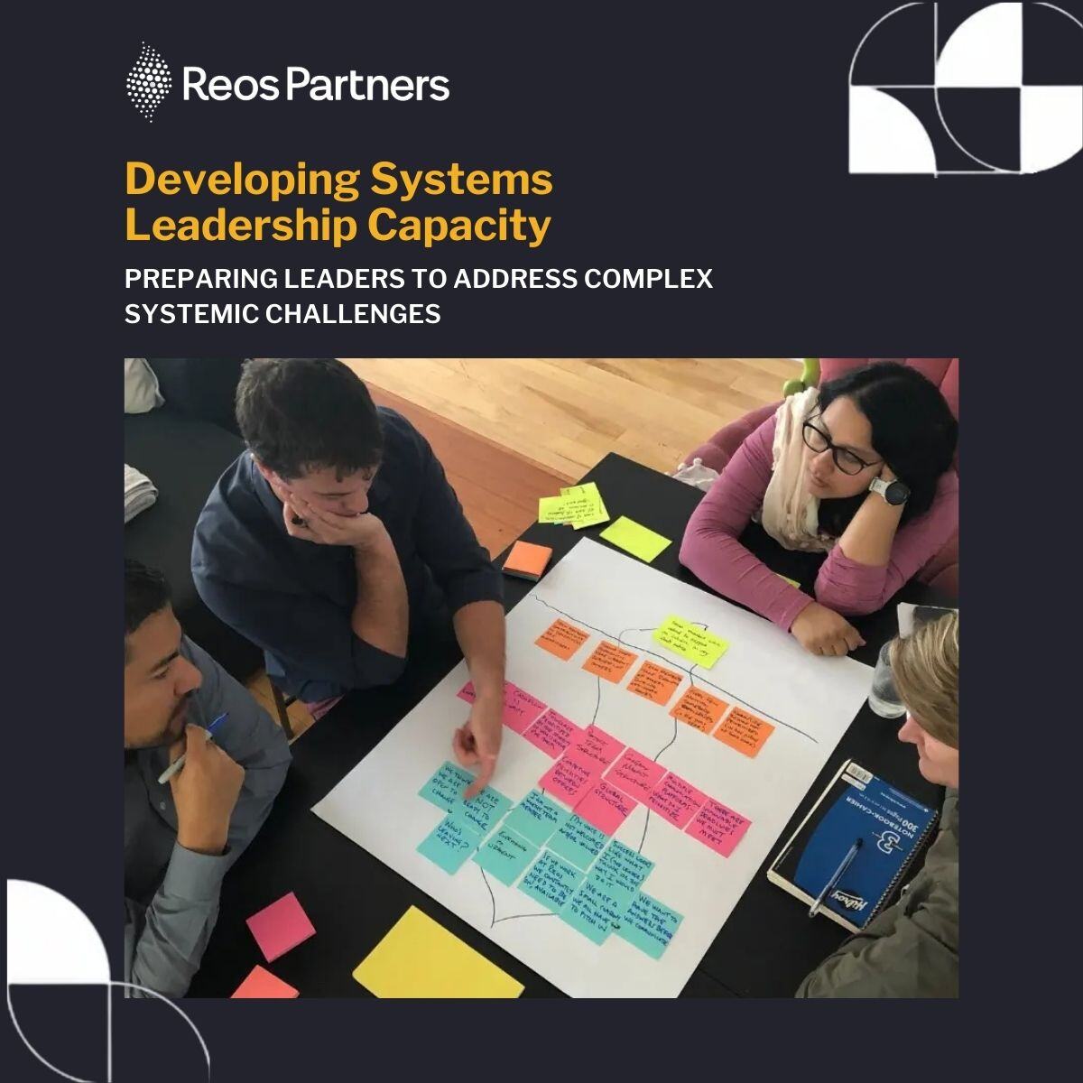 Systems Leadership Capacity Building For Grantees