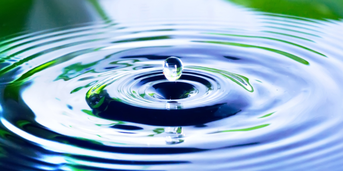 More Than a Grant: Strengthening Leadership to Multiply Impact